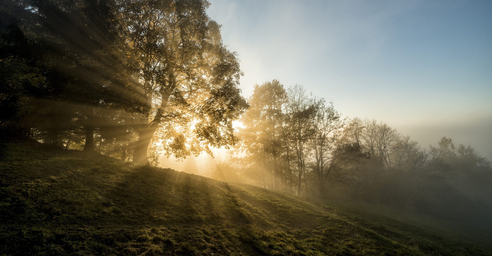 Boerger Jordan Wealth Management Group | Elsmere, KY